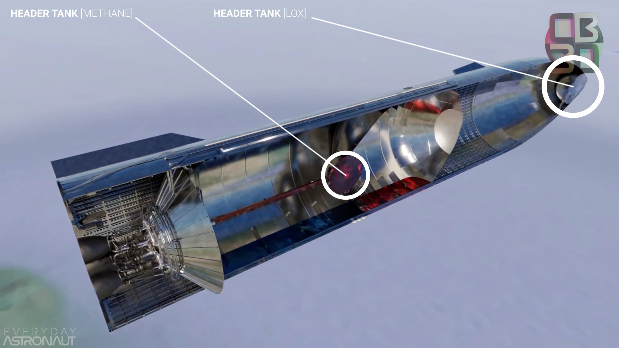 Starship and its Belly Flop Maneuver | Everyday Astronaut